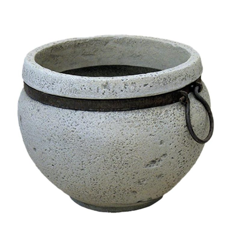 Ferrusticano `Kenzi` - Mashtal Garden Centers