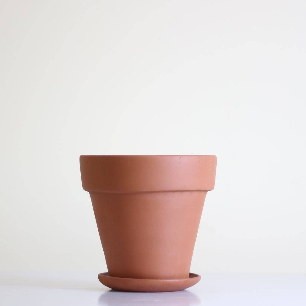 Pots & Planters - Mashtal Garden Centers