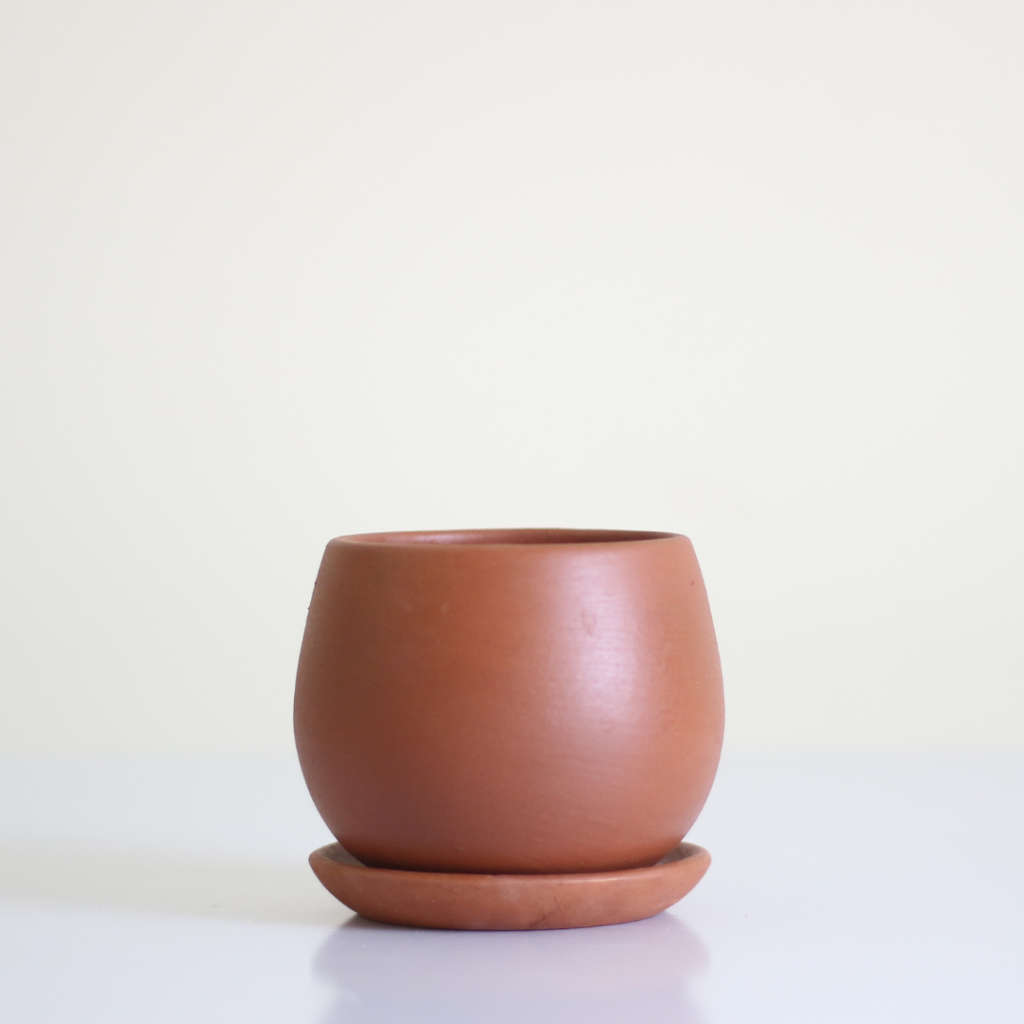 Clay Pots - Mashtal Garden Centers