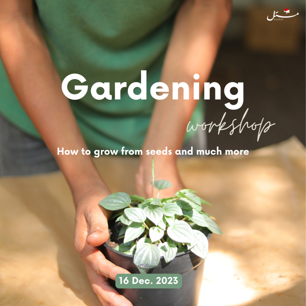 Gardening Workshop 102 - Mashtal Garden Centers