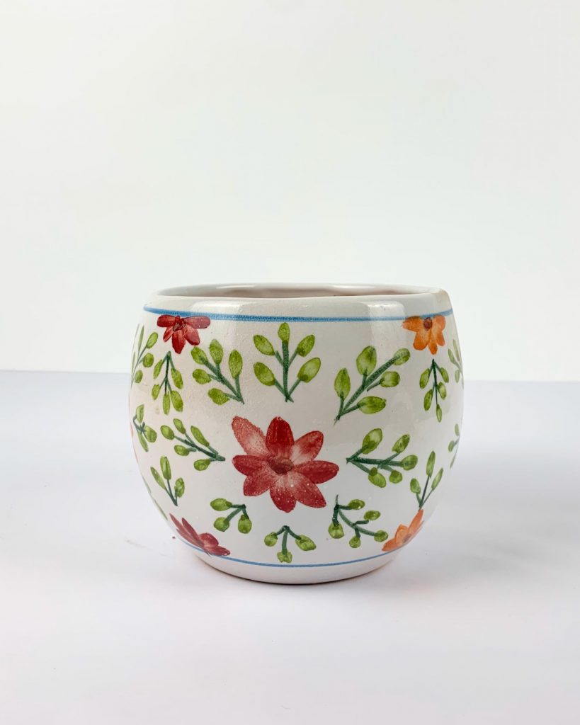 Daisy pot - Mashtal Garden Centers