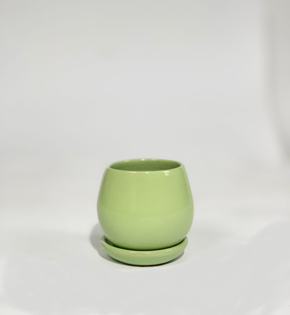 Malak - Mashtal Garden Centers