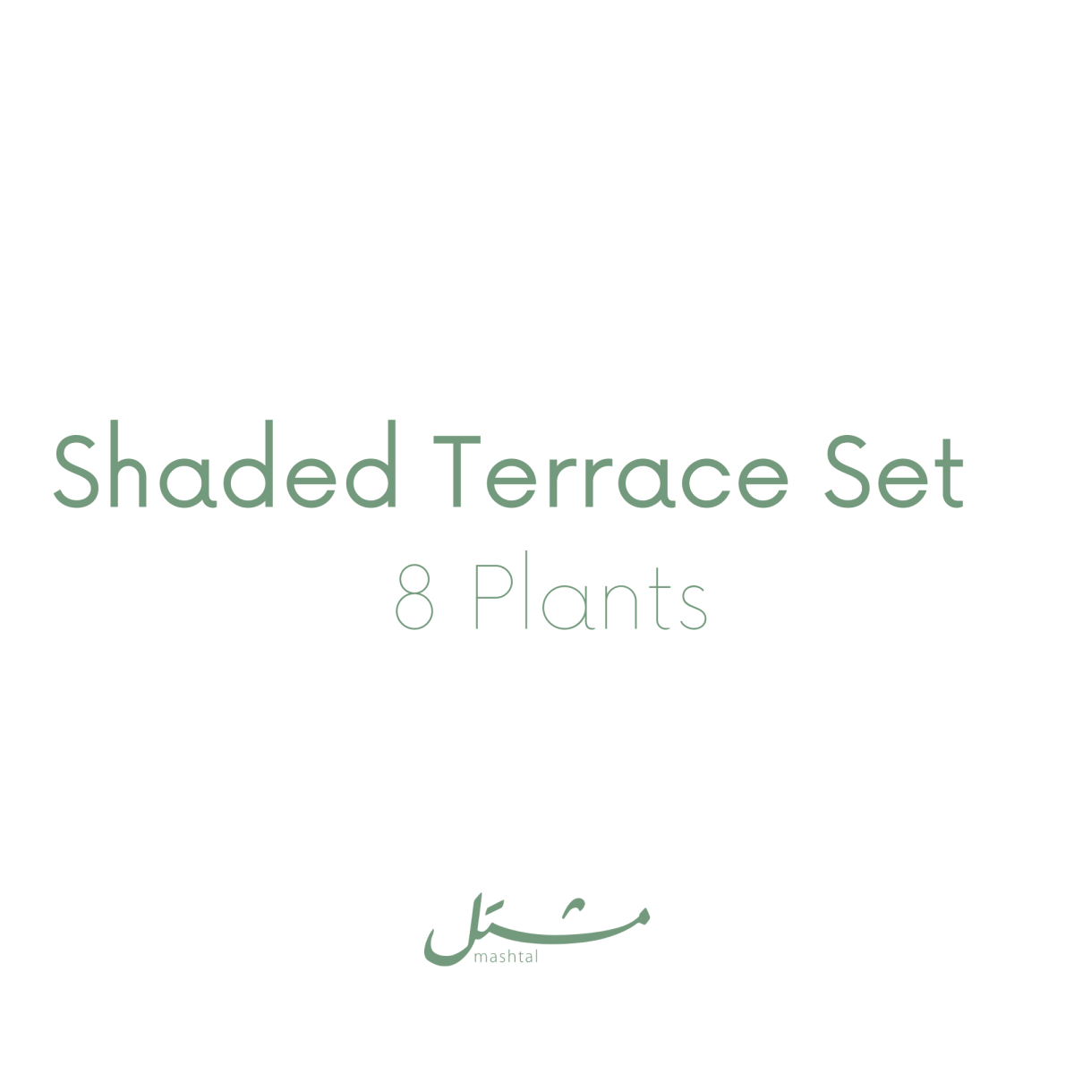 Terrace Plants Sets - Mashtal Garden Centers