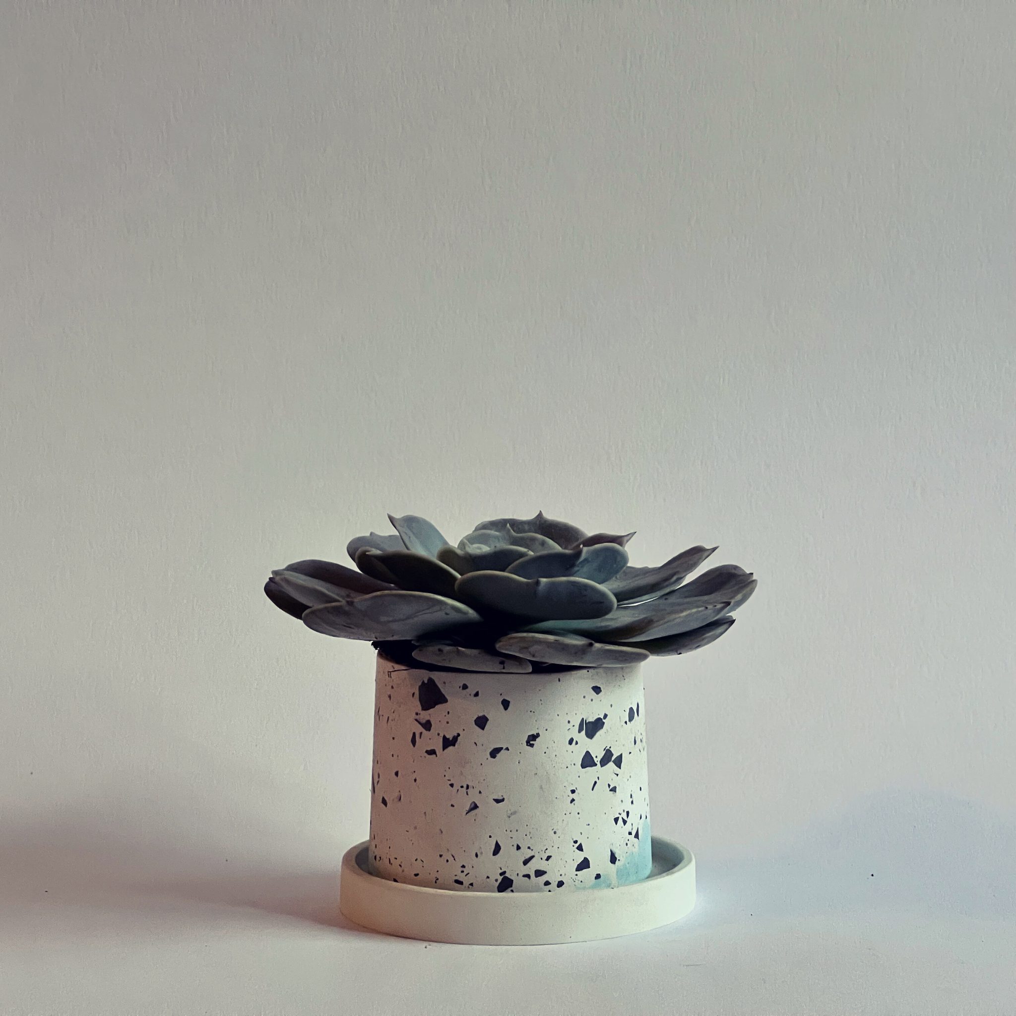 Sky Blue Pot - Mashtal Garden Centers