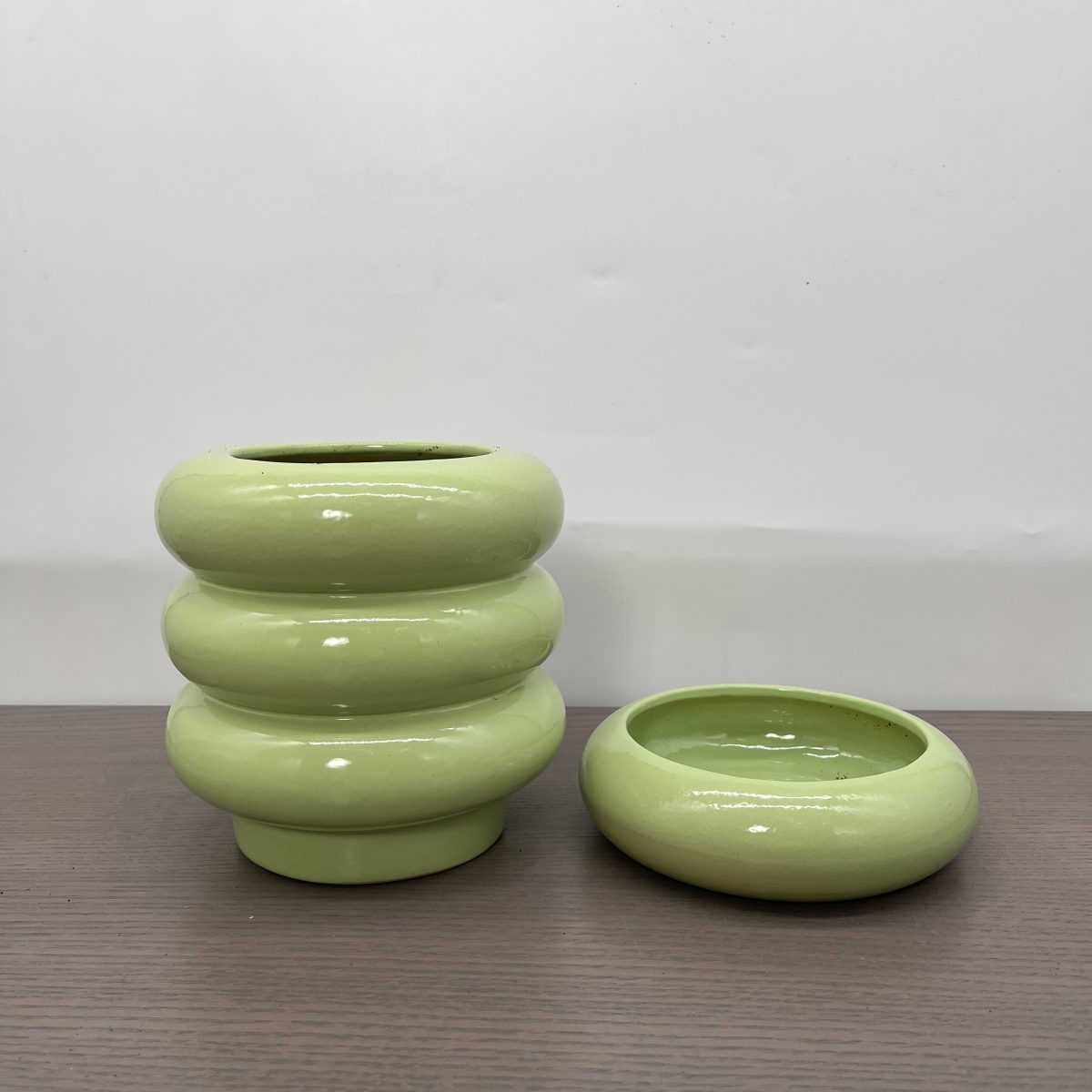 New Arrivals - Mashtal Garden Centers
