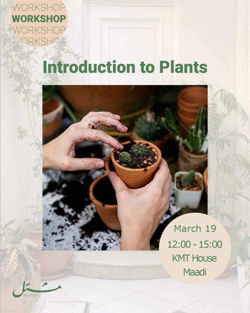 Introduction to Plants Workshop - Mashtal Garden Centers