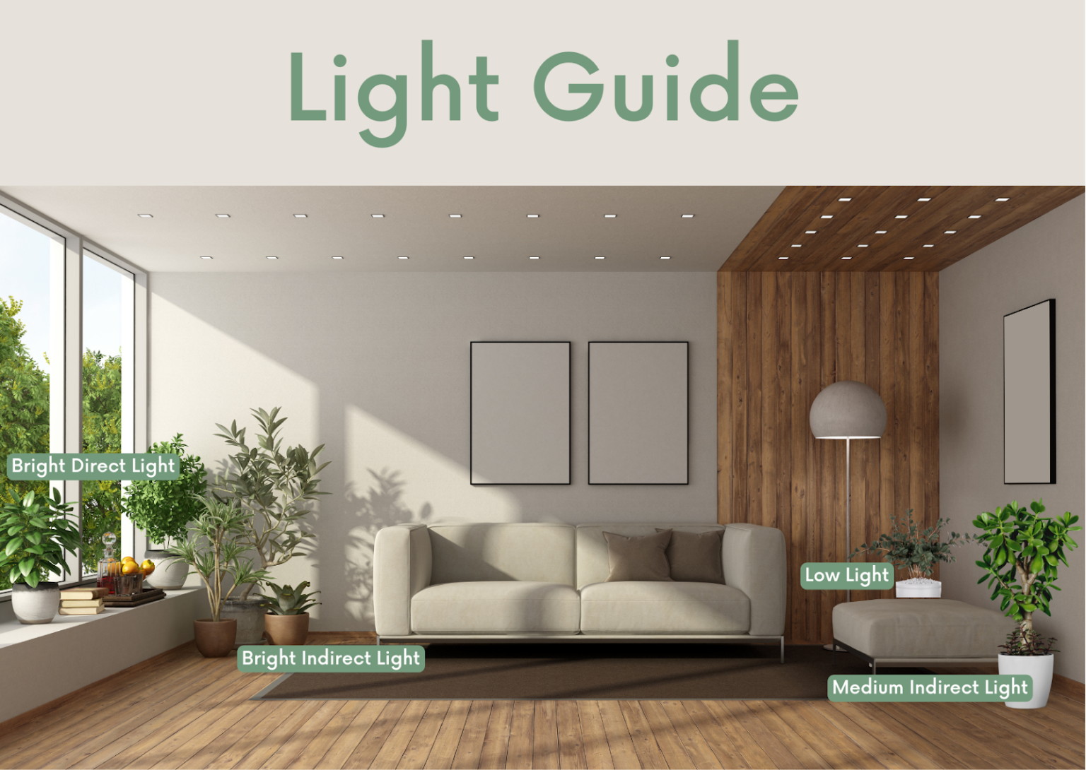 Choosing the best light for your plants - Mashtal Garden Centers