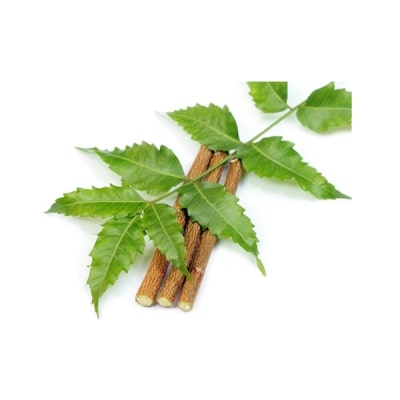 Neem Tree - Mashtal Garden Centers